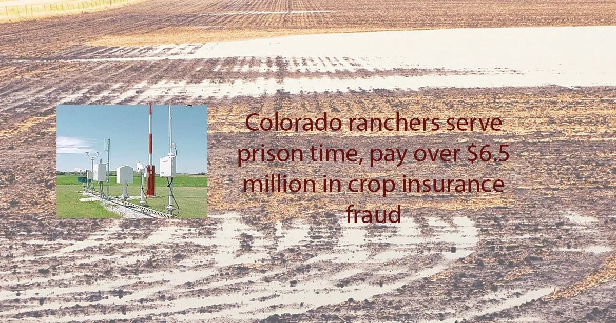 Colorado Ranchers Serving Prison Time Over Crop Insurance Scheme
