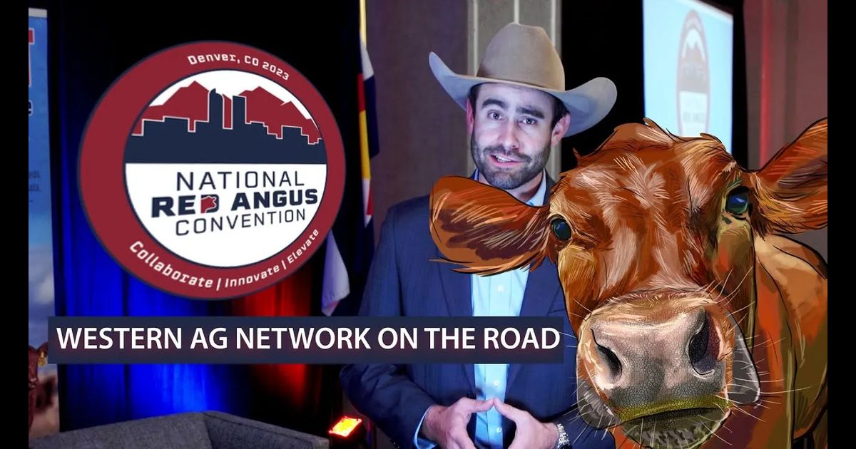 2023 National Red Angus Convention