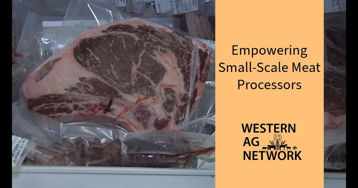 Empowering Small-Scale Meat Processors