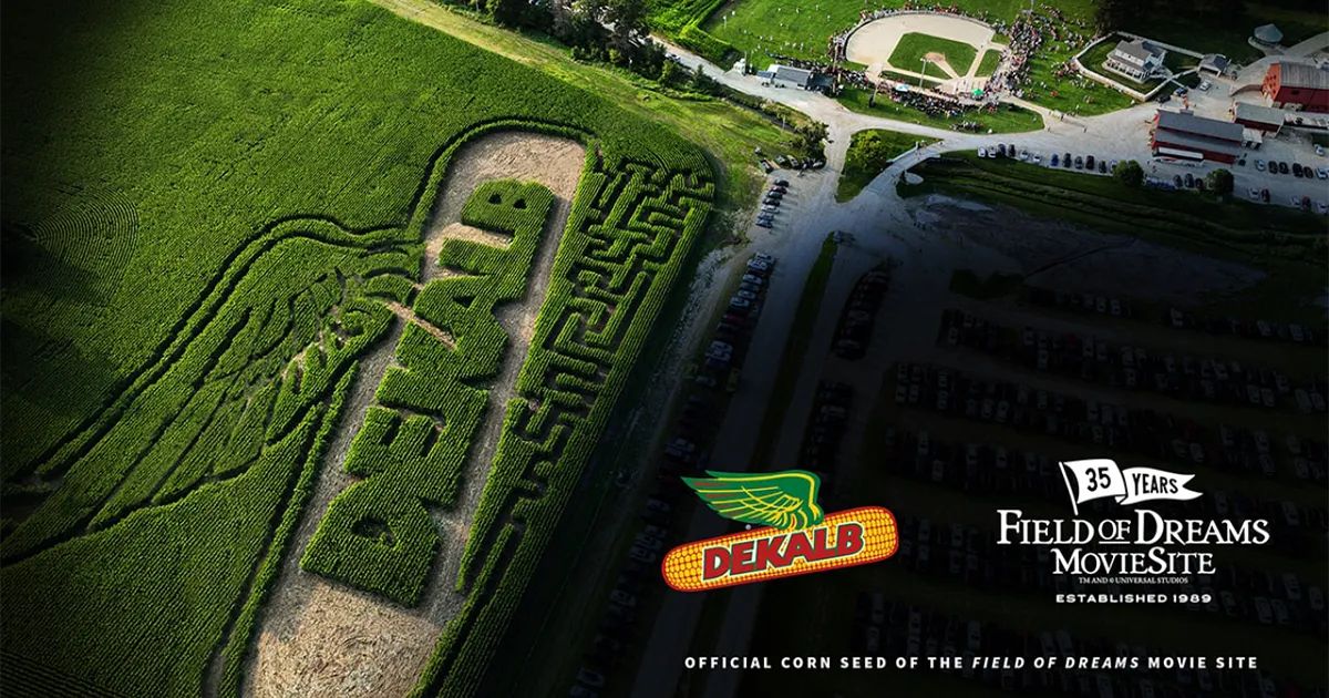 DEKALB Partners with the Field of Dreams Movie Site