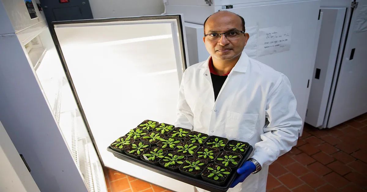 Montana Farmers Welcome Dr. Venugopal Mendu as Winifred Asbjornson ...