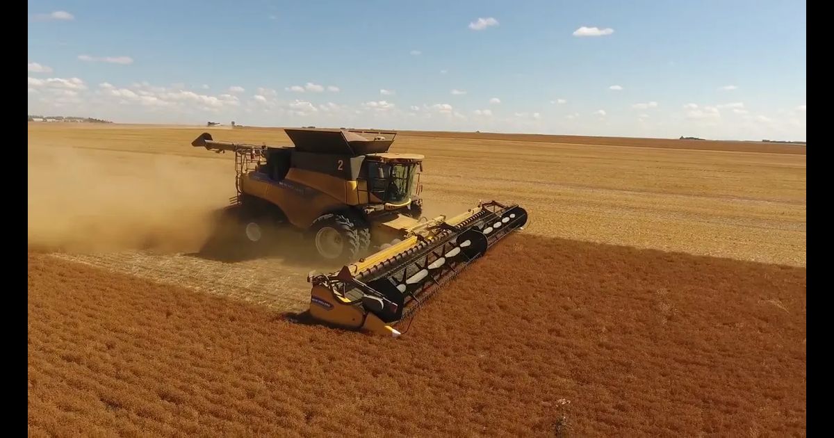 Columbia Grain International Meets Skyrocketing Demand for Beans during ...