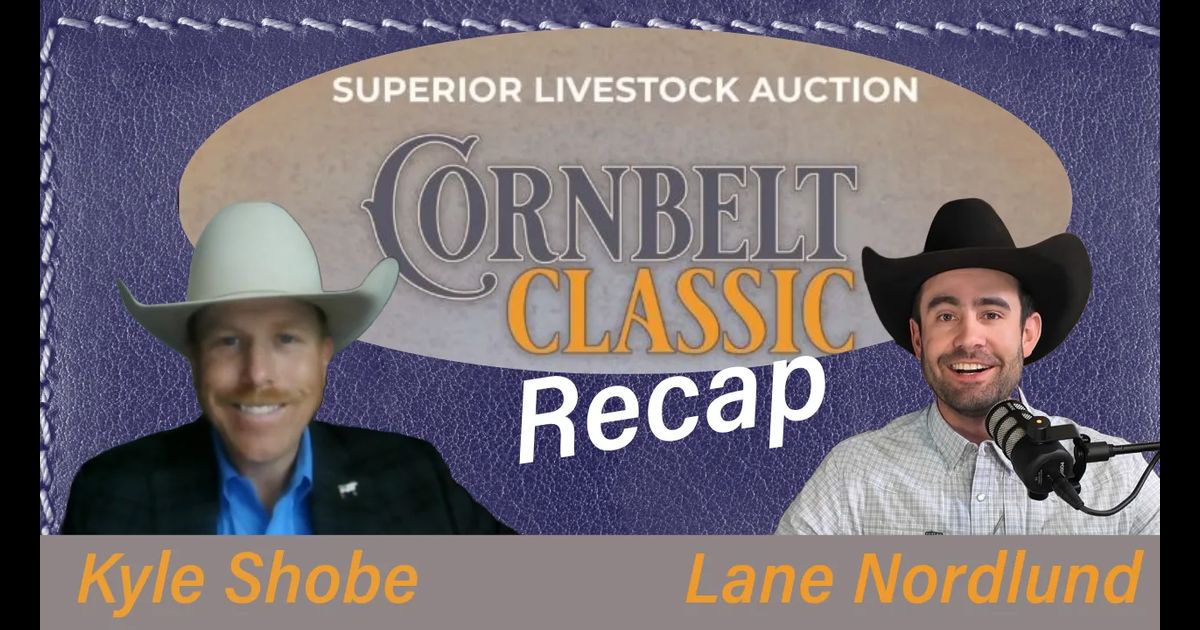 2024 Corn Belt Classic Recap