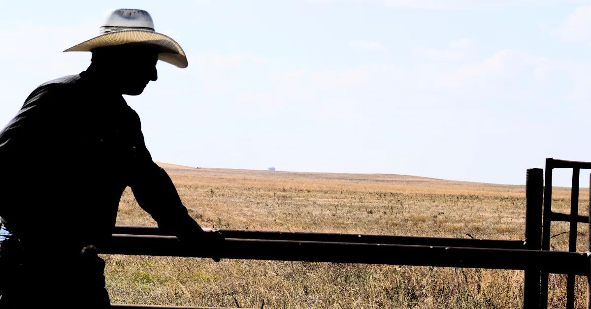 Free CattleFax Webinar Coming to a Computer Near You