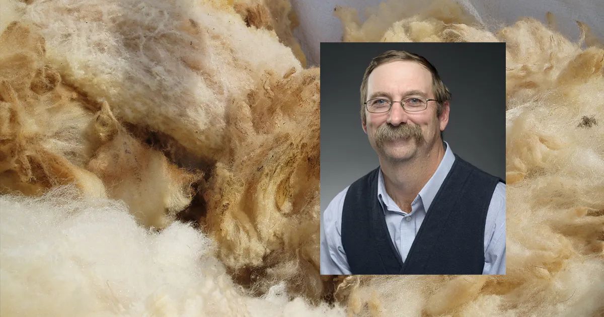 MSU's Roeder talks wool research in Time magazine article