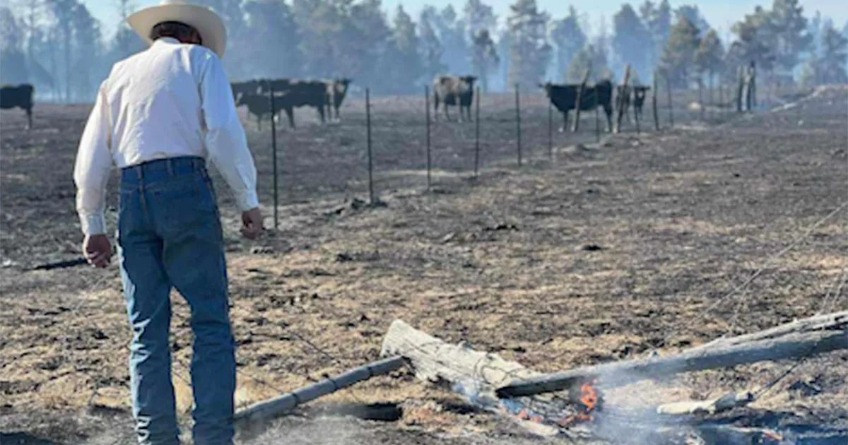 The Producer Partnership Helping Remington Wildfire Victims