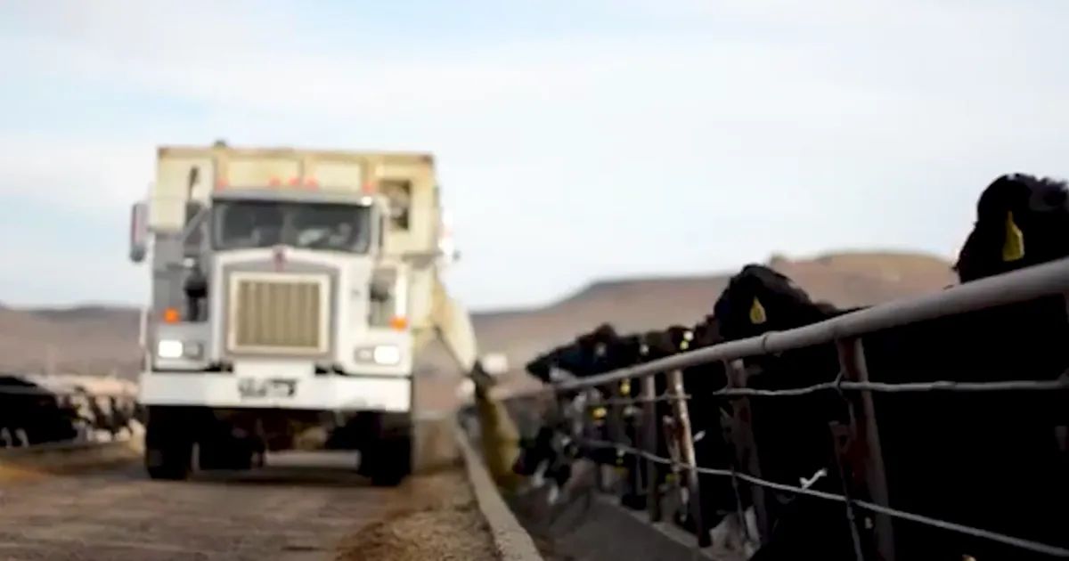 Clean Water Act Case Against Simplot Allowed To Proceed