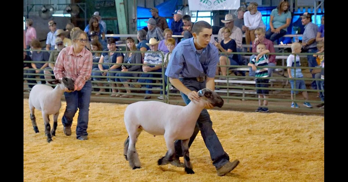 Agricultural Fairs Rescue Act Introduced in Congress