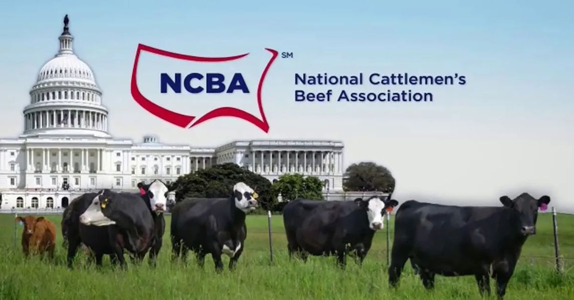 NCBA Elects New Officers and Sets Policy for 2021