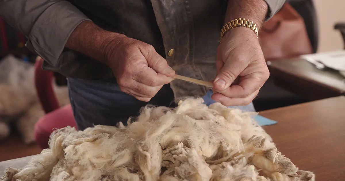 Commercial Wool Lab Open for Business