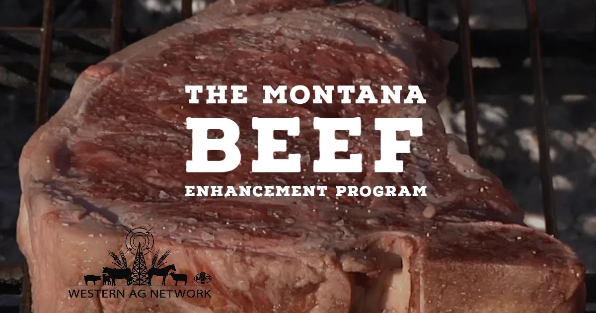 The Montana Beef Enhancement Program