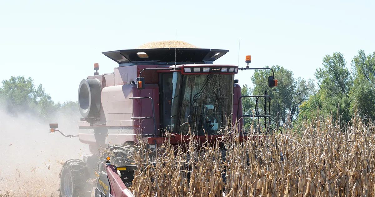 New Study Showcases Corn Farming’s Contribution to the Economy