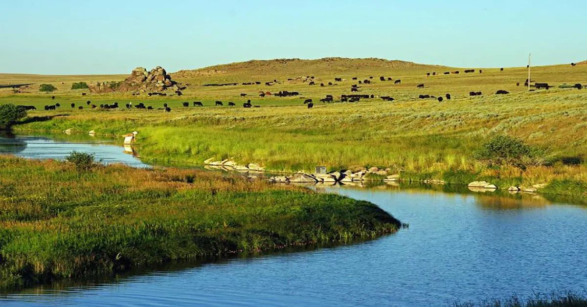 USDA’s Grassland Conservation Reserve Program Signup Now Open