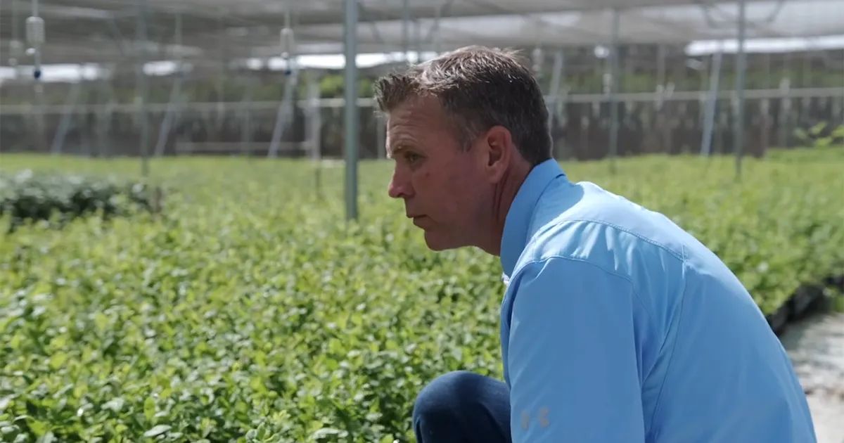 The Evolution of the Blueberry from Every Day to Exotic