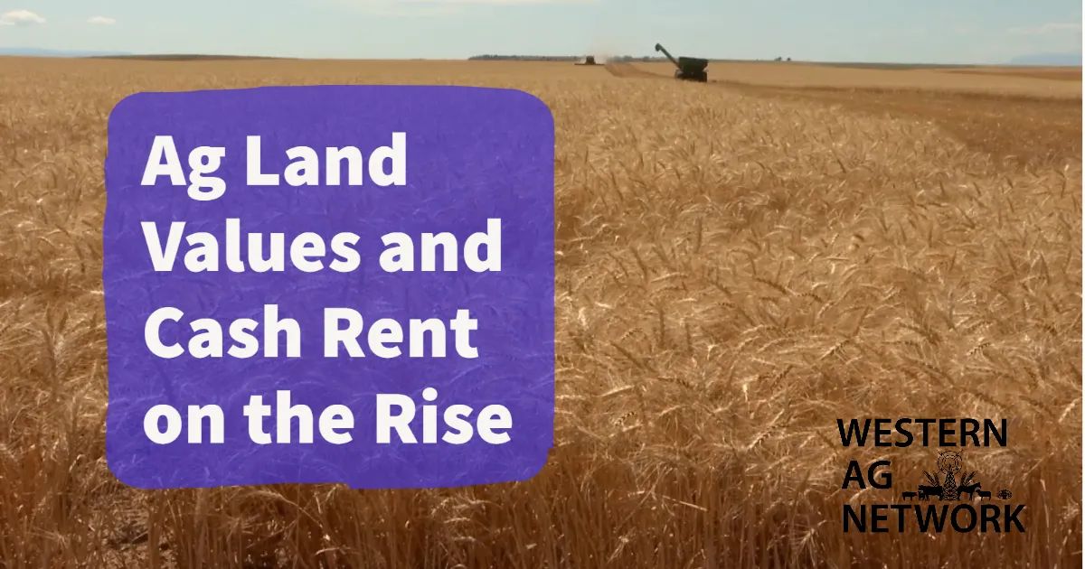 Ag Land Values and Cash Rent on the Rise