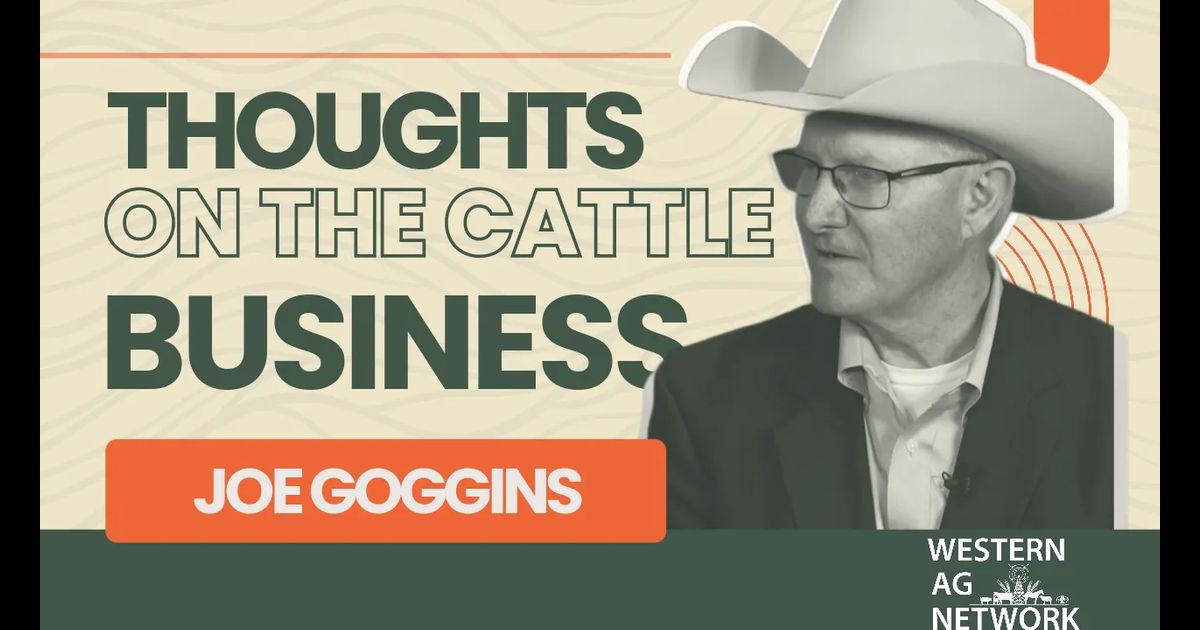 Joe Goggins: Thoughts on the Cattle Business