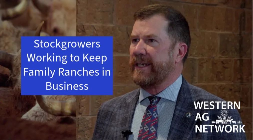 Stockgrowers Working to Keep Family Ranches in Business
