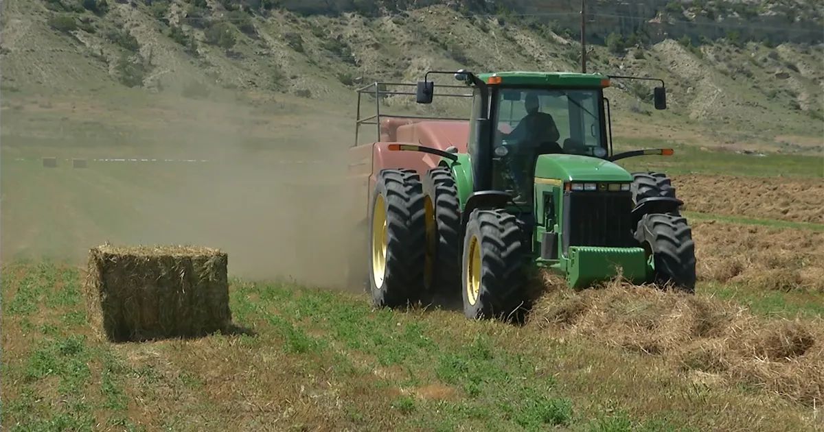 Record Low Hay Stocks Seen in Top Producing States