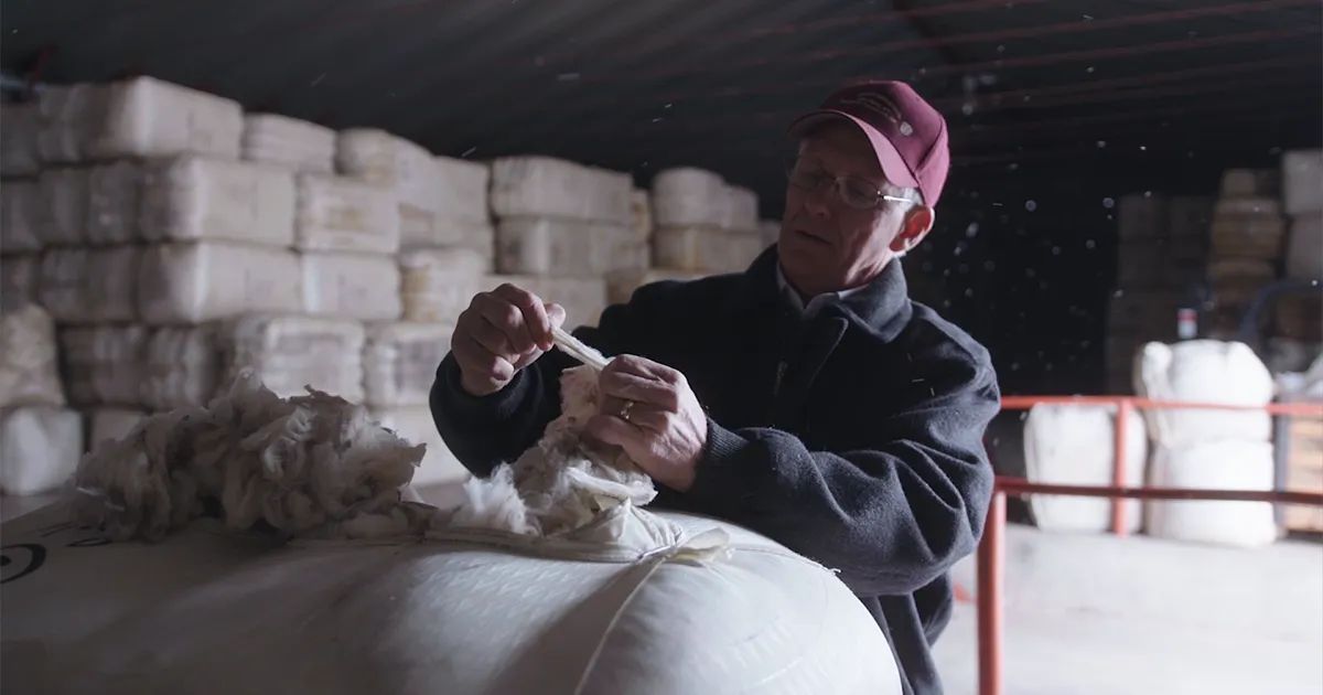 Survey Aimed At Wool Pool Coordinators