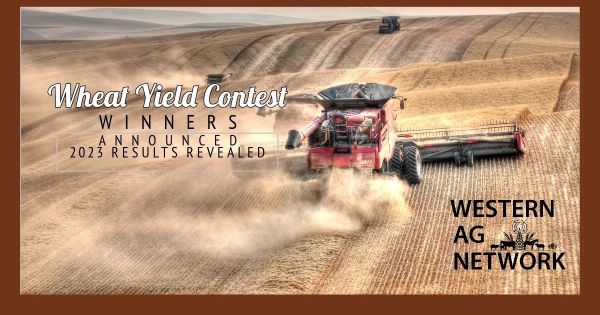 Wheat Yield Contest Winners Announced