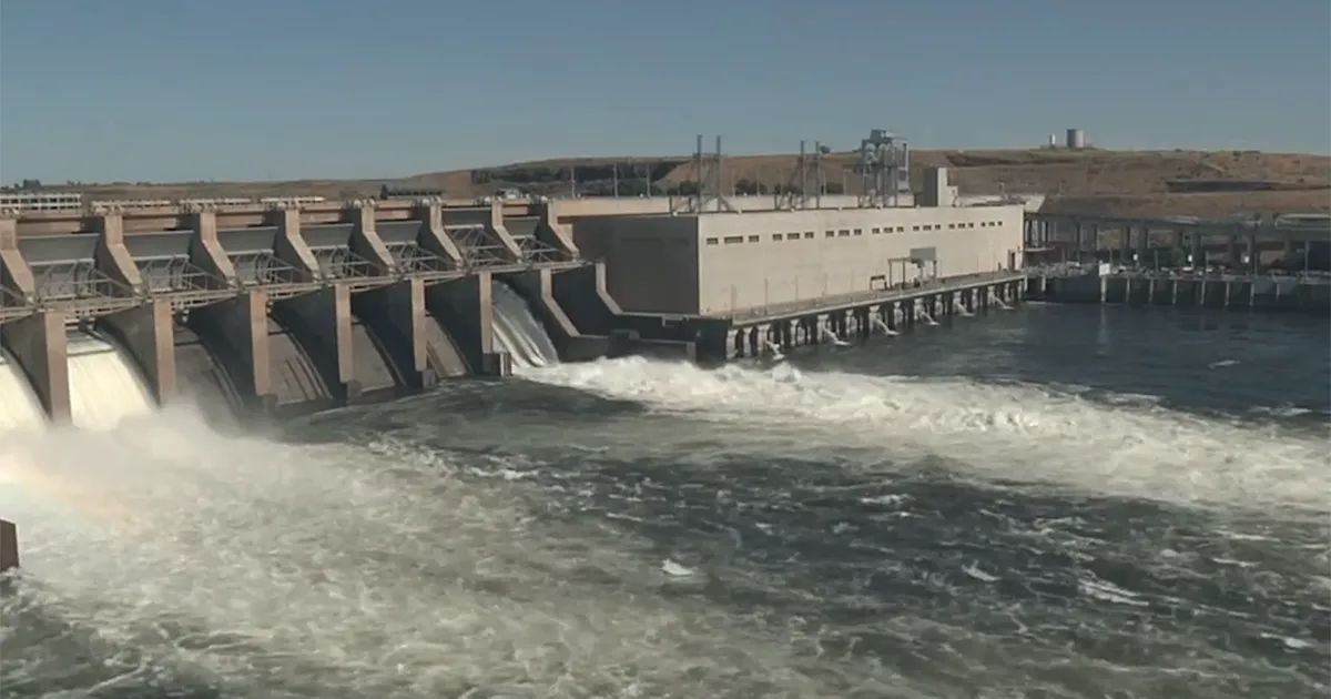 Wheat Growers Applaud President Trump’s Memorandum to Protect the Lower ...