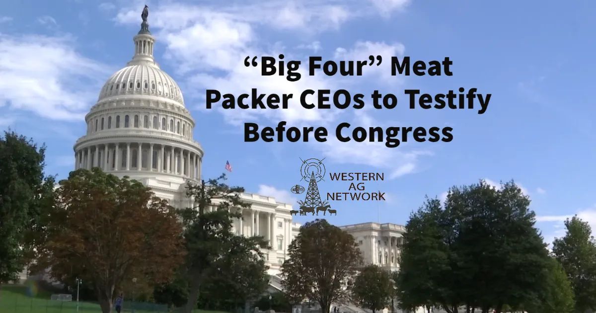 “Big Four” Meat Packer CEOs to Testify Before Congress