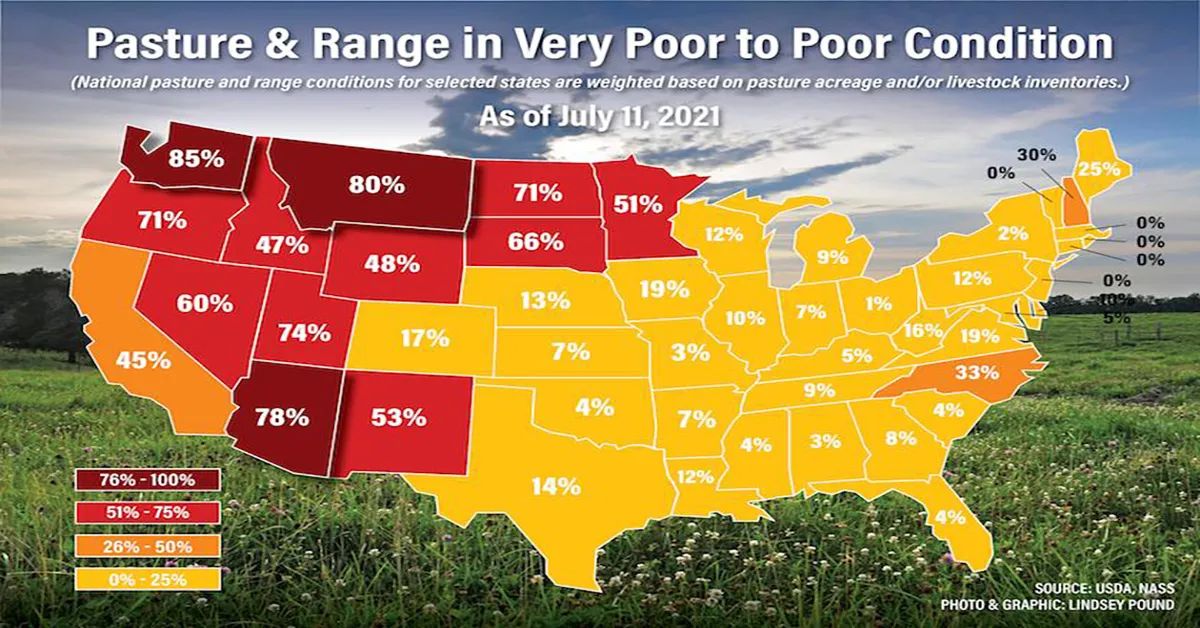Drought Taking It's Toll on Pasture and Range Conditions