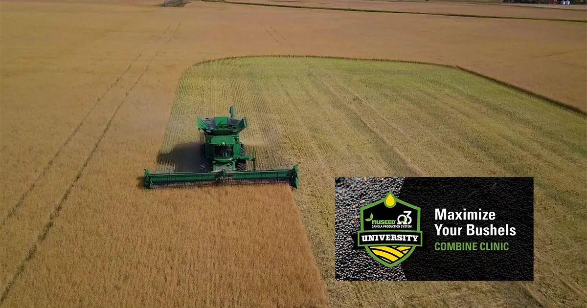 Nuseed Canola Production System University Combine Clinics in Montana
