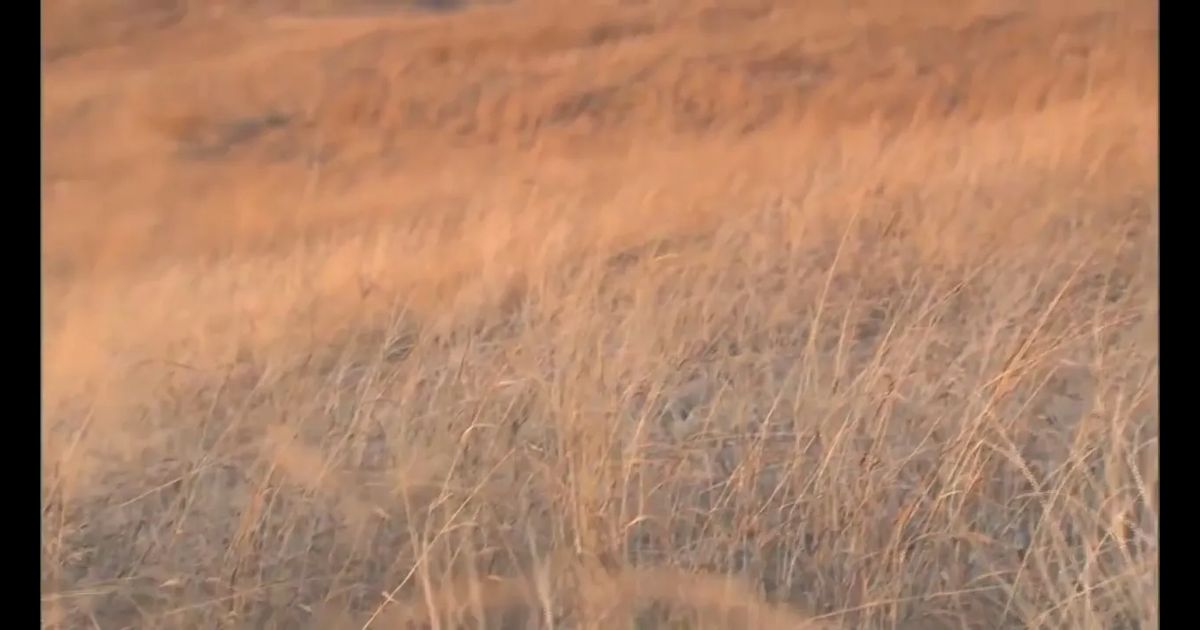 USDA Announces More Than 3.4 Million Acres Selected for General Signup ...