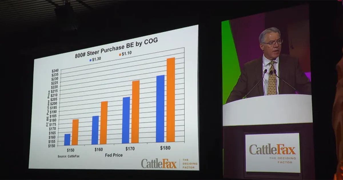 CattleFax Forecasts Producer Profitability in 2023