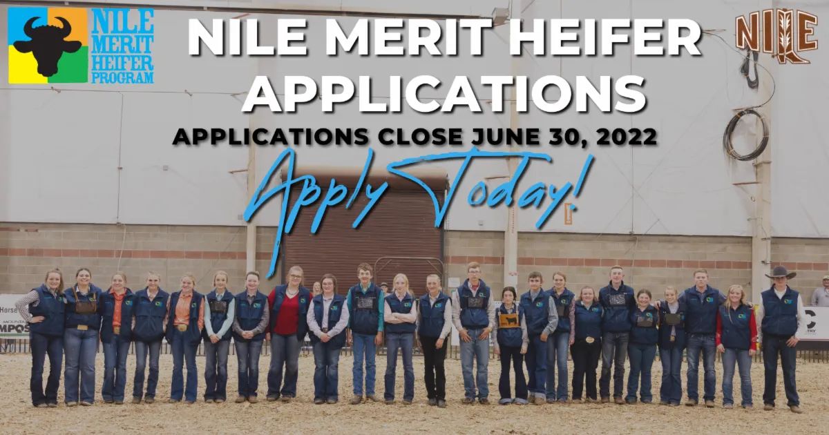 Applications for the 2023 NILE Merit Heifer Program Close Soon