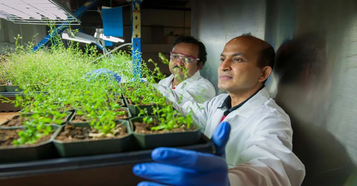 Montana Farmers Welcome Dr. Venugopal Mendu as Winifred Asbjornson ...