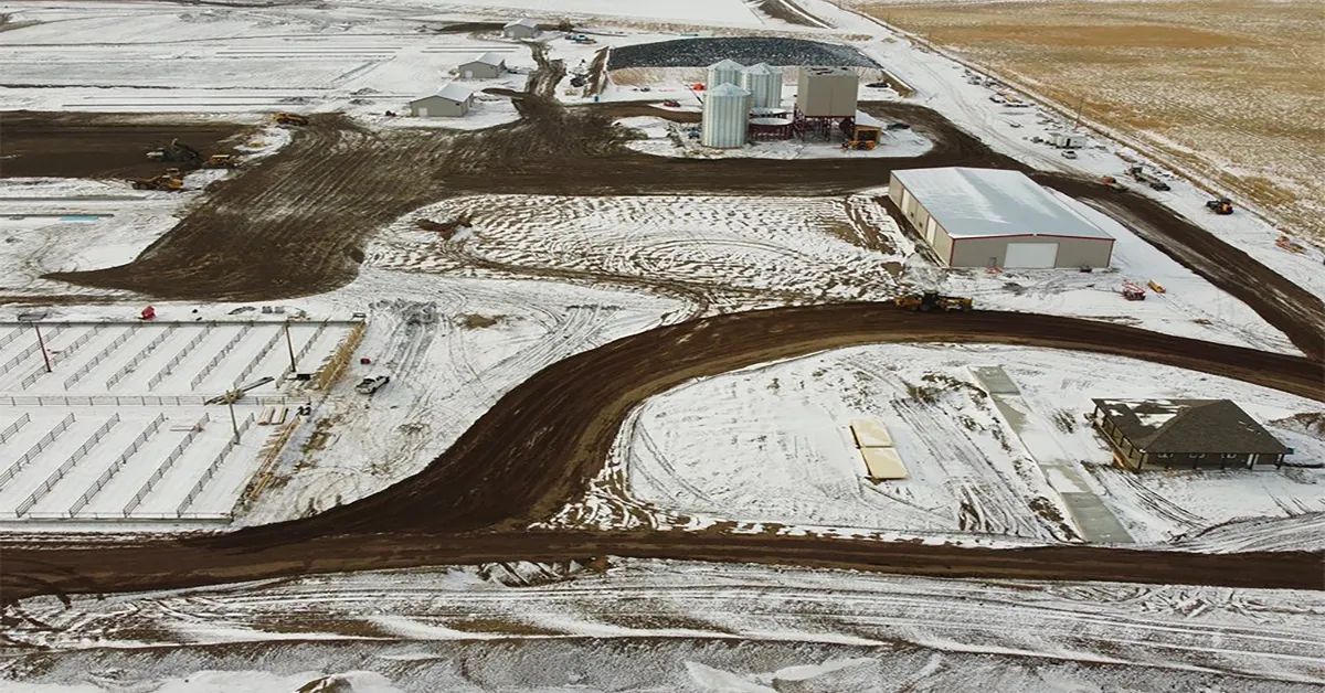 New Feedlot to Open Next Year in Alberta, Canada