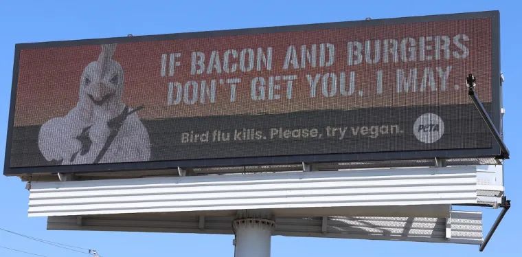 Anti-meat billboard in Casper ruffling feathers