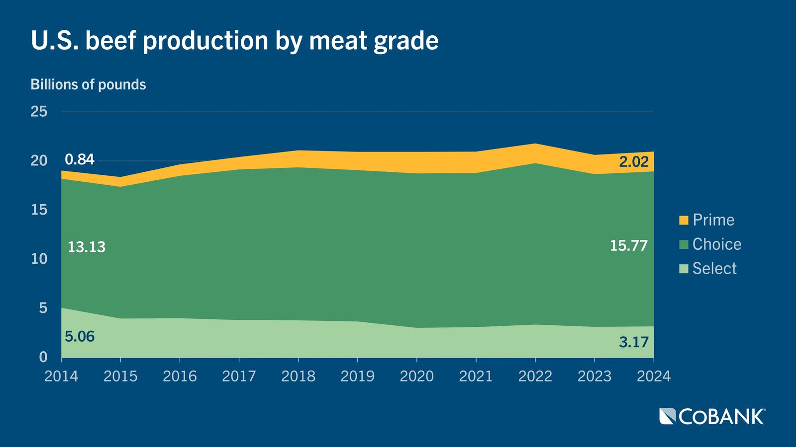 Beef-on-Dairy Cattle Gain Ground in U.S. Beef Supply Chain