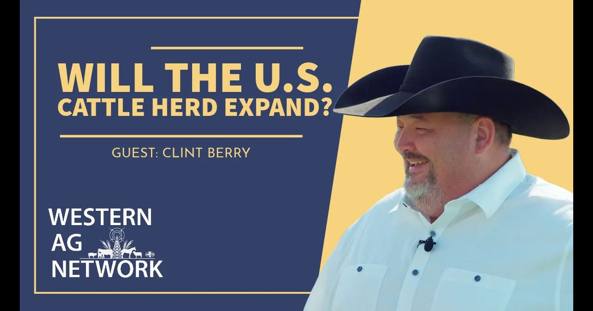 Will the U.S. Cattle Herd Expand?