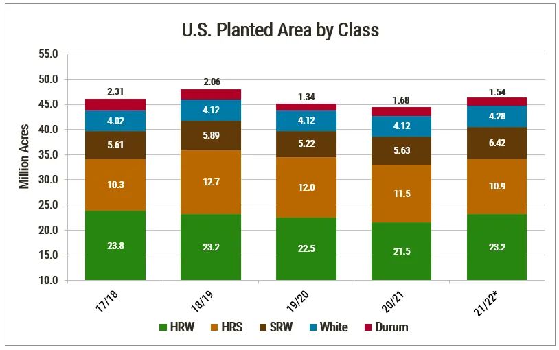 USDA Predicts Decline in U.S. Spring Wheat Planted Area as Dryness ...