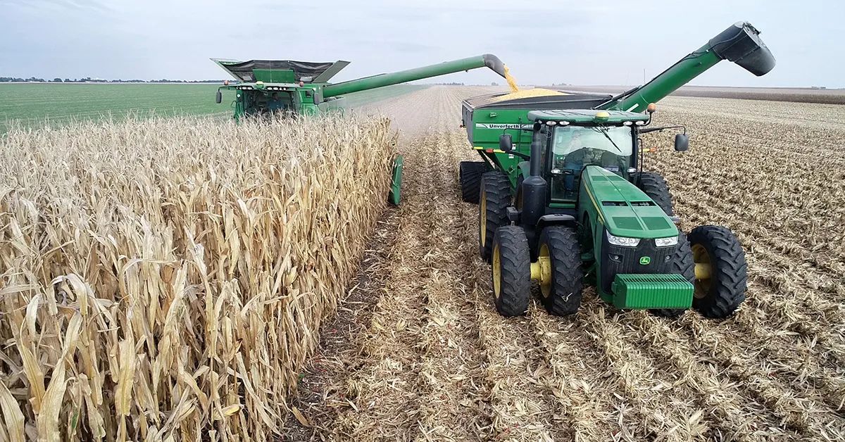 Mexico Rejects Bayer Corn Trait, Signals Future Resistance to ...