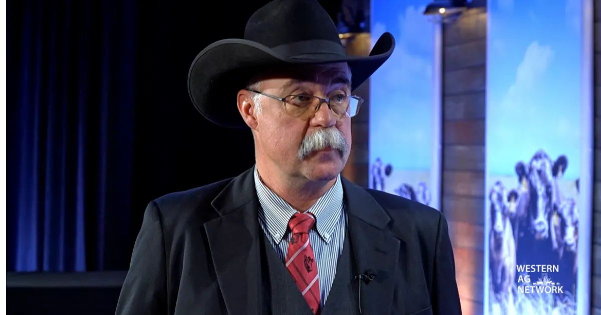 Stevenson Elected Vice President of American Angus Association