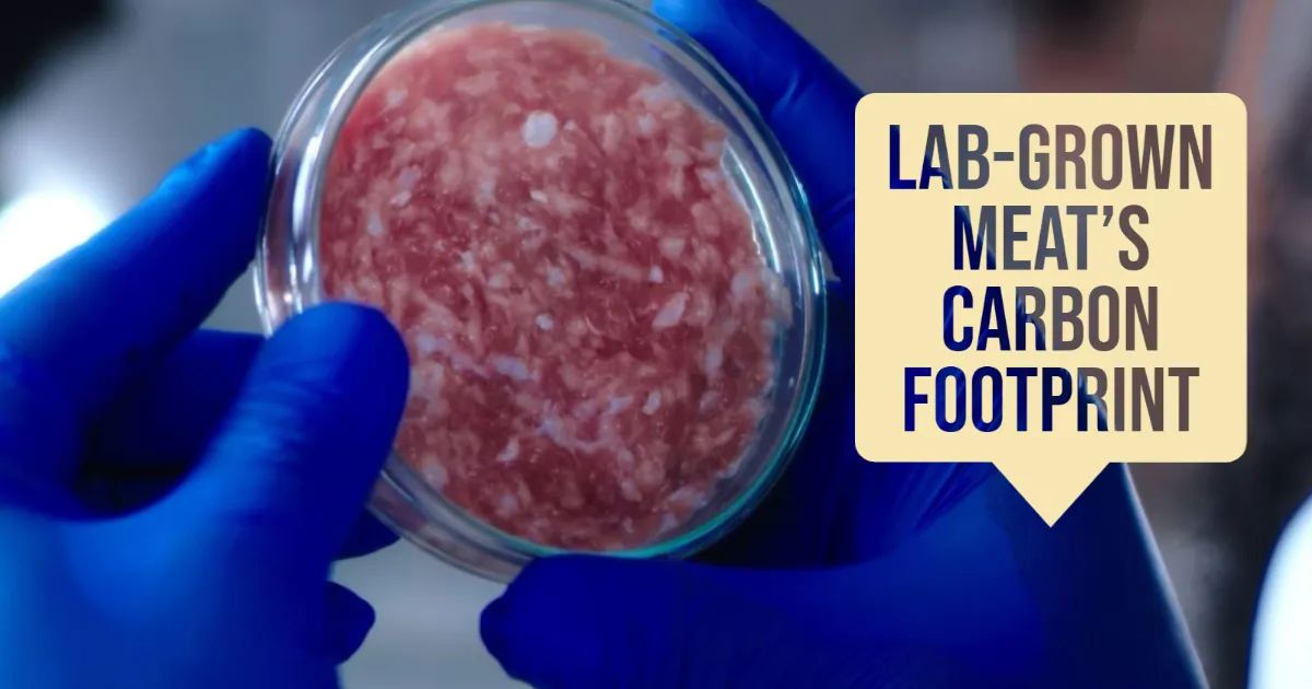 Lab-Grown Meat’s Carbon Footprint Potentially Worse Than Retail Beef