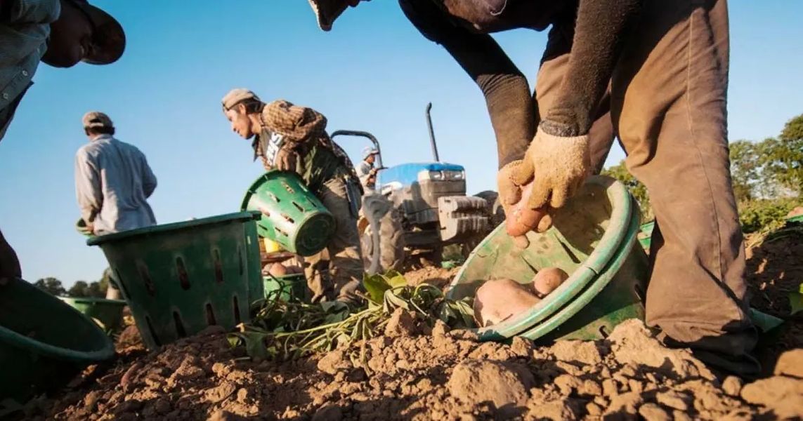 Ag Labor: H-2A Wage Rule Announced