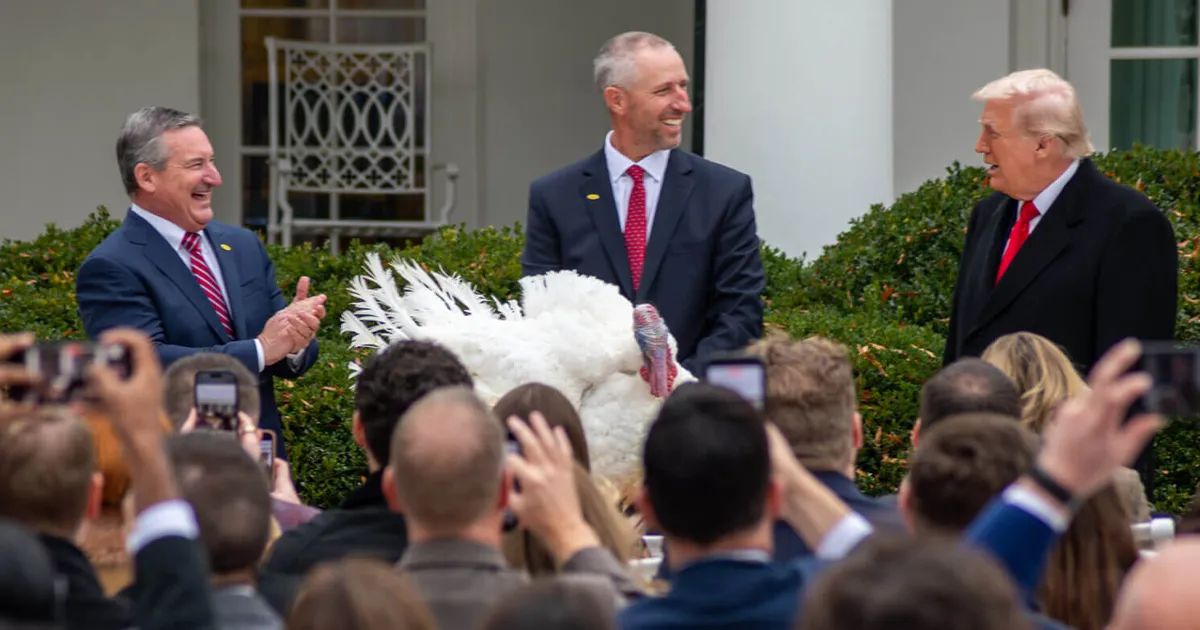 President Trump Pardons Gobble and Waddle in Annual Thanksgiving Tradition