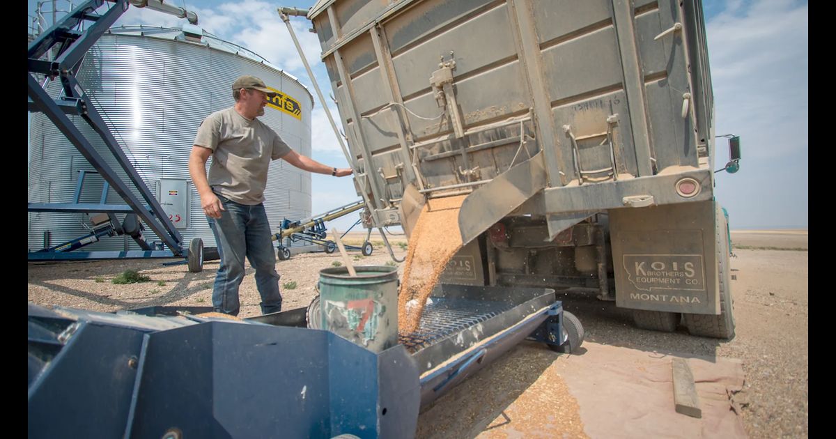 Grain Bin Safety Week Highlights Dangers, Accident Prevention