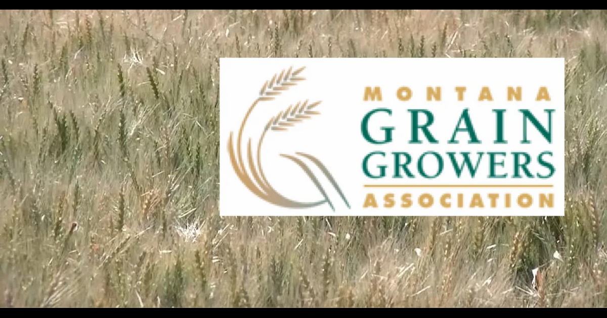 Vergeront Named as Grain Growers Exec.
