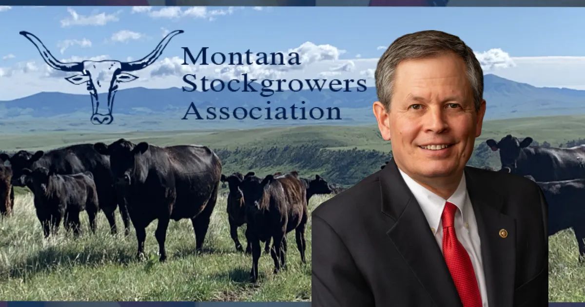 Senator Steve Daines; A Champion of the Beef Trade Agreements