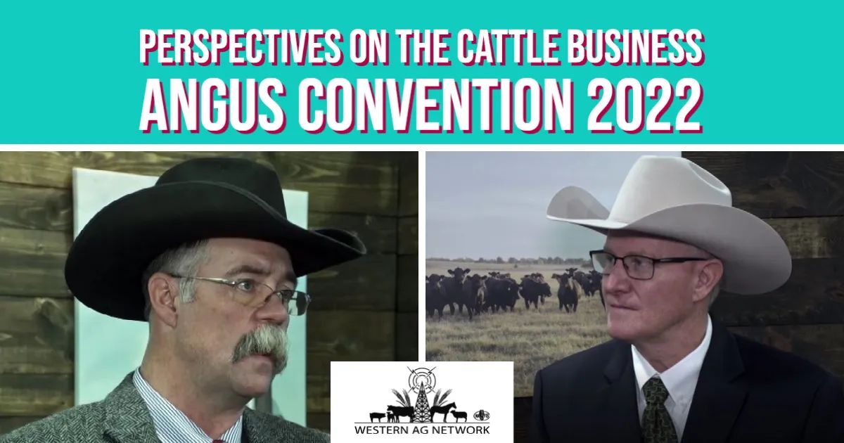 Perspectives on the Cattle Business - Angus Convention 2022