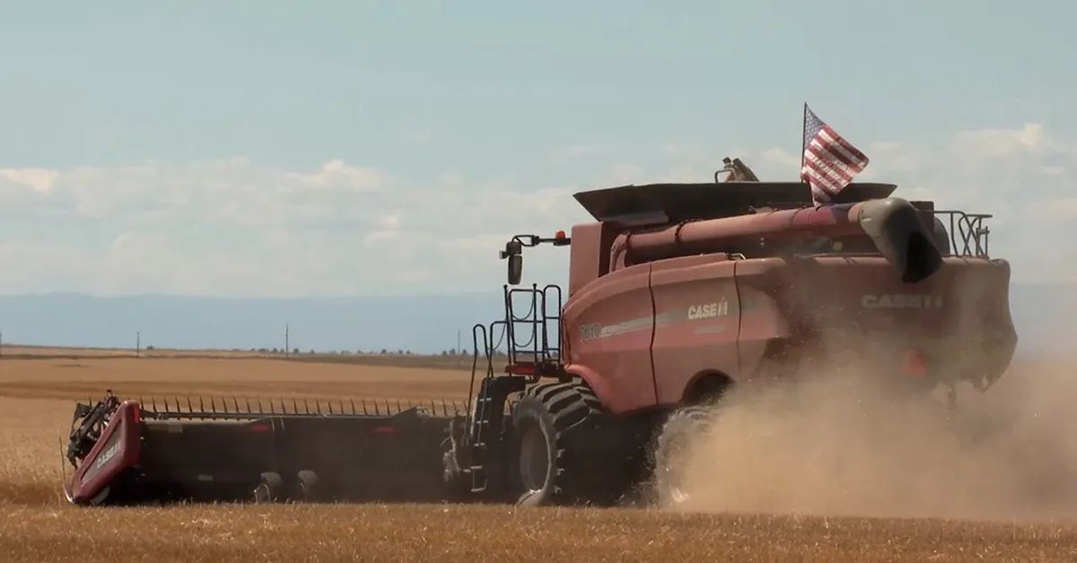 Bioceres Crop Solutions and Colorado Wheat Research Foundation Partner ...