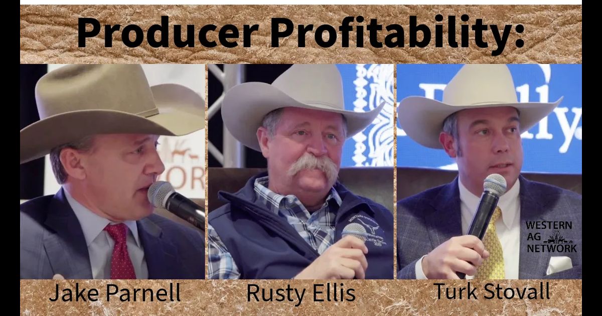 Producer Profitability: Rancher Panel at Montana Stockgrowers Convention