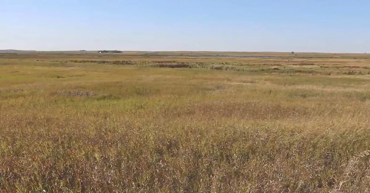 USDA Expands and Renews Conservation Reserve Program in Effort to Boost ...