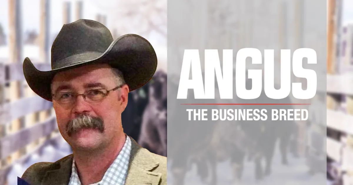 Stevenson Elected to American Angus Board